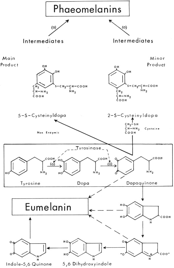Figure 2-4 Figure 2-4