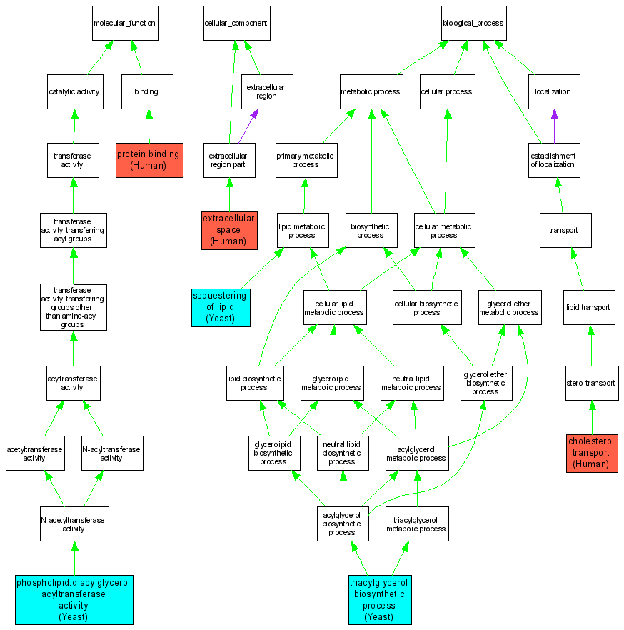 Compare GO annotations related to Fish-eye disease using OMIM genes and ...