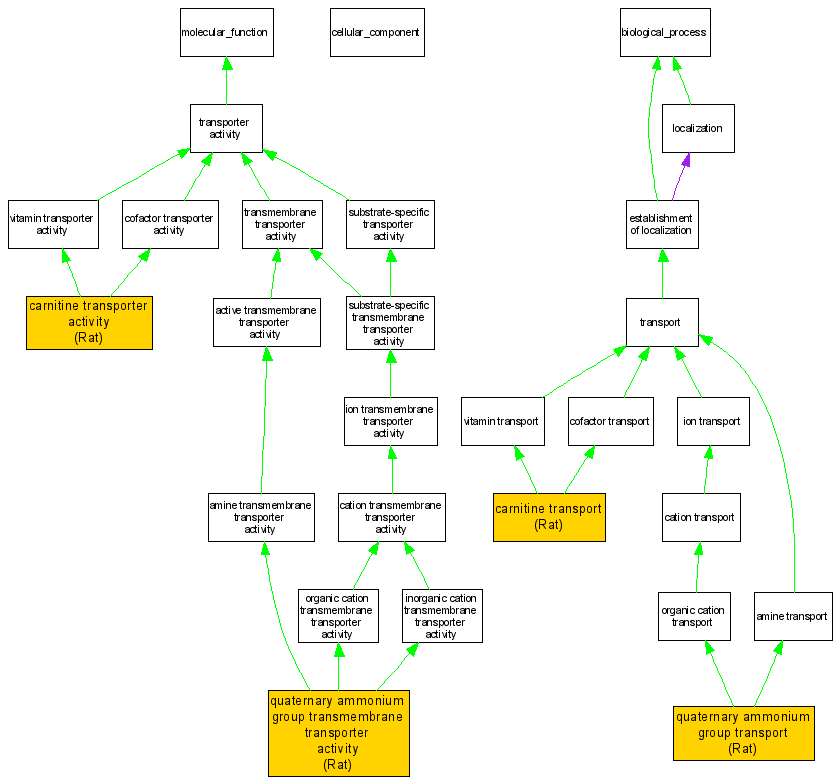 Compare GO annotations related to Carnitine deficiency, systemic ...