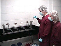 LexVision Analysis [version: 05.05.00.05]