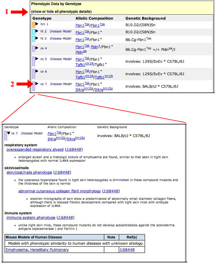 MGI 6.24 Allele Tour