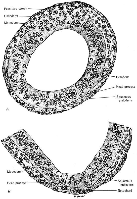 Biology of the Laboratory Mouse - Figure 12-14