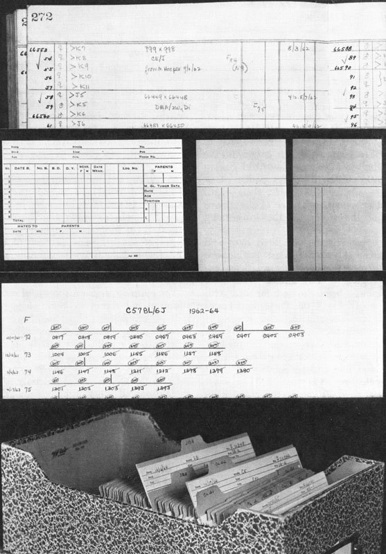 Biology of the Laboratory Mouse - Figure 3-1