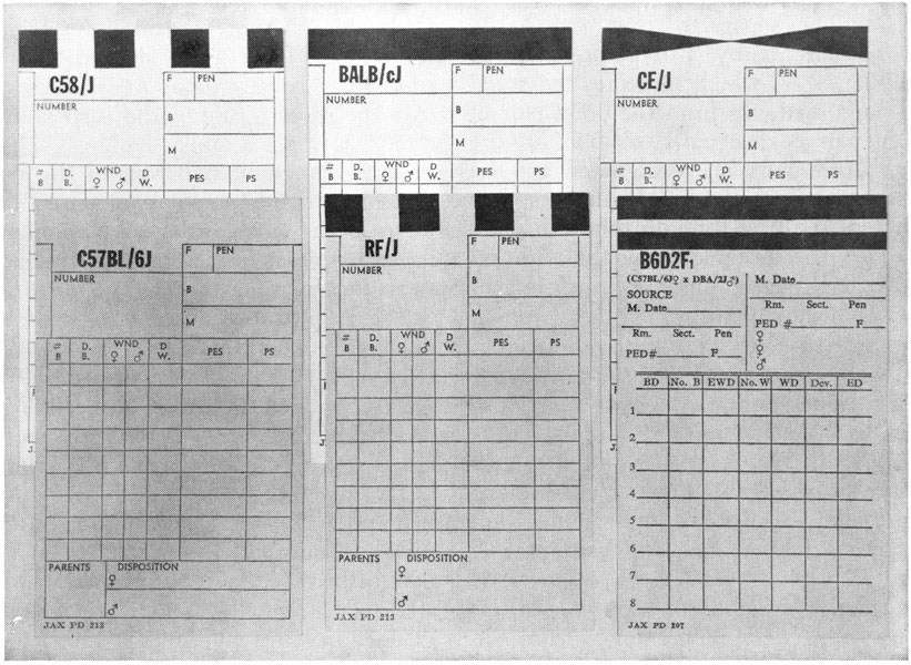 Biology of the Laboratory Mouse - Figure 3-4
