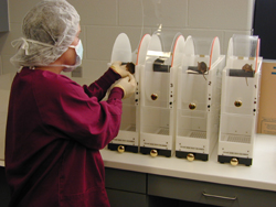 LexVision Analysis [version: 05.05.00.05]