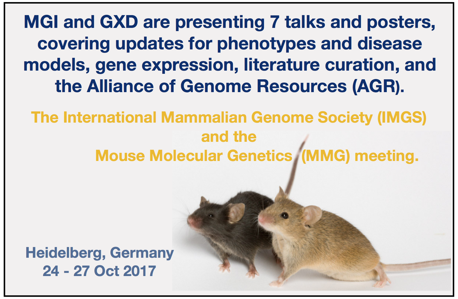 MGI-Mouse Genome Informatics-The international database resource for ...