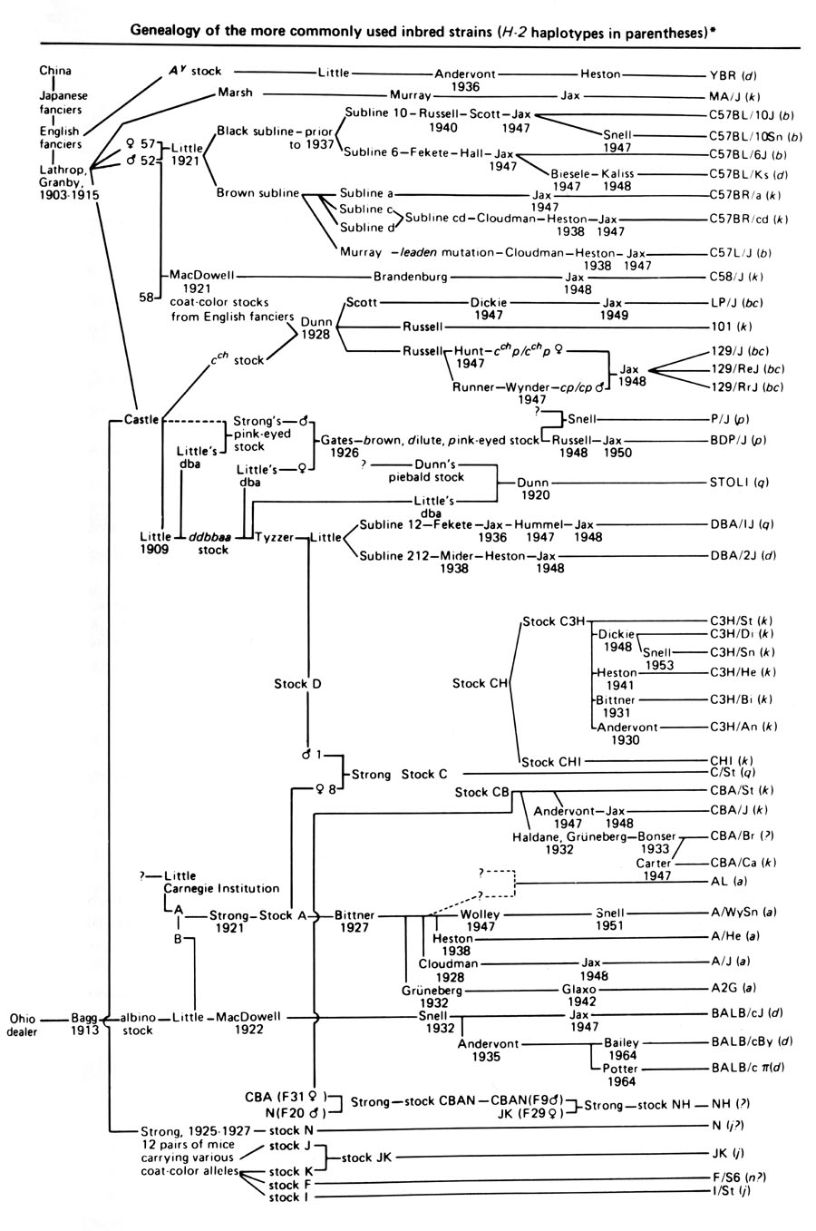 Origins of Inbred Mice - Figure 1-10