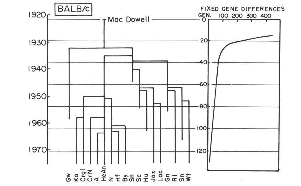 Origins of Inbred Mice - Figure 15-4B