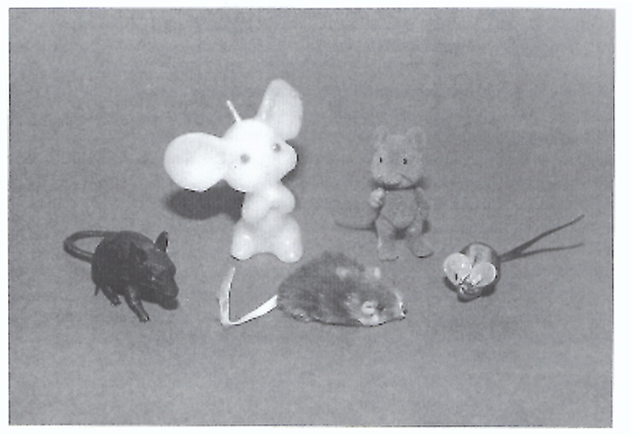 Figure 1.1 - Some examples of mouse trinkets