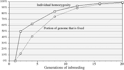 Figure 3.2 - Consequences of inbreeding up to 20 generations